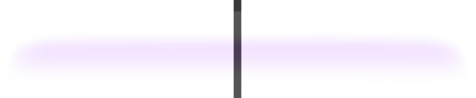 Organizational Structure – International Relations Division