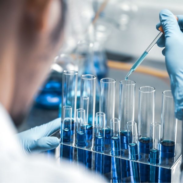 Master of Science Program in Clinical Medical Sciences – International ...